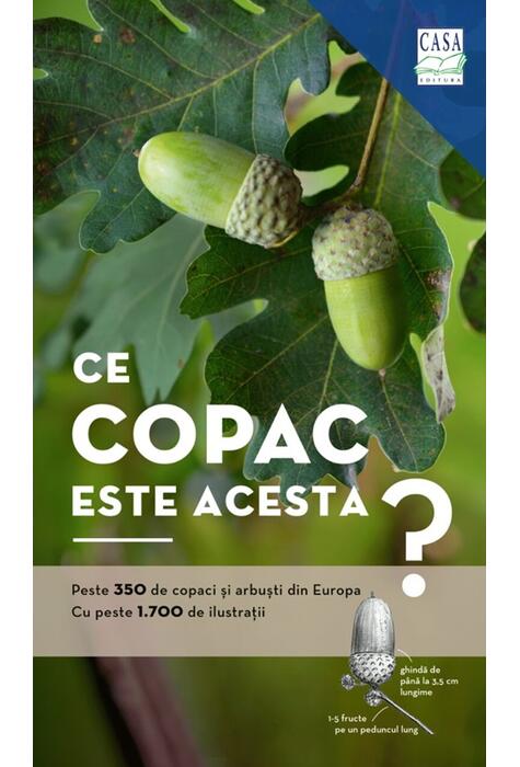 Ce copac este acesta? - Margot Spohn, Roland Spohn - Cartepedia